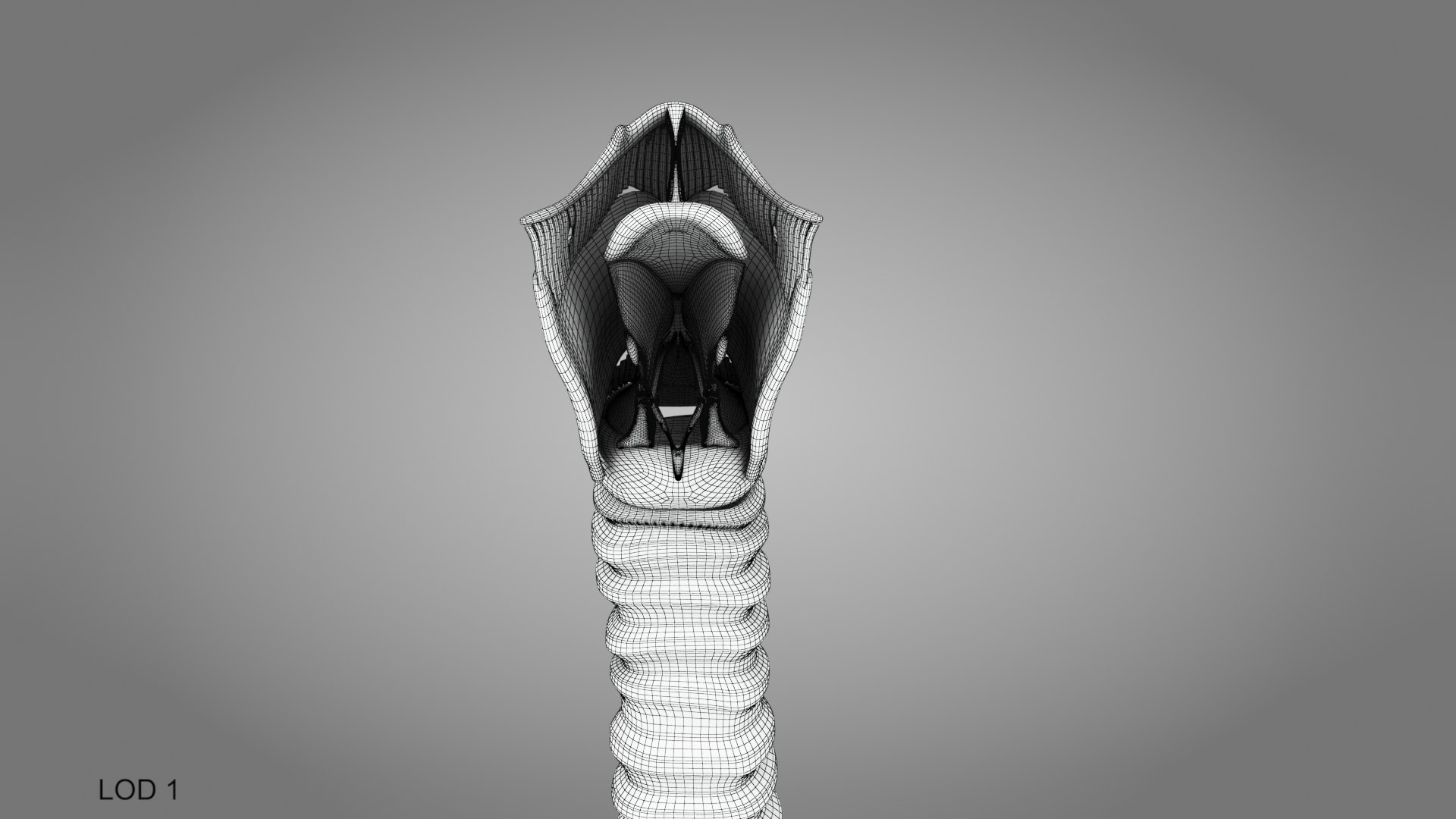 3D Larynx - TurboSquid 1924638