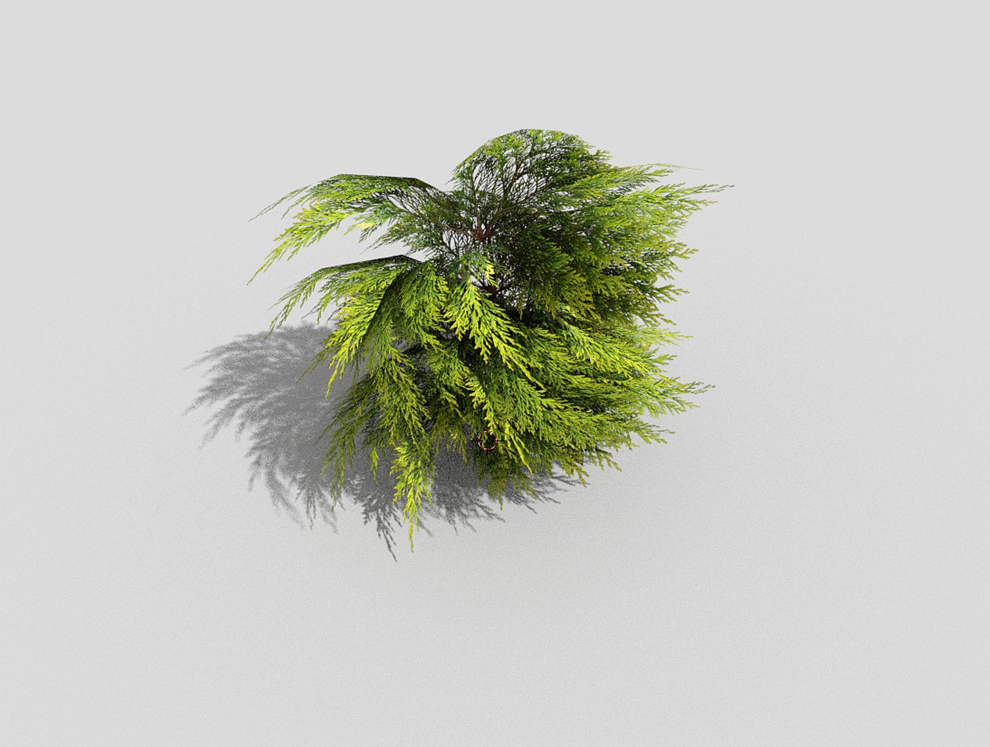 shrub 3d model