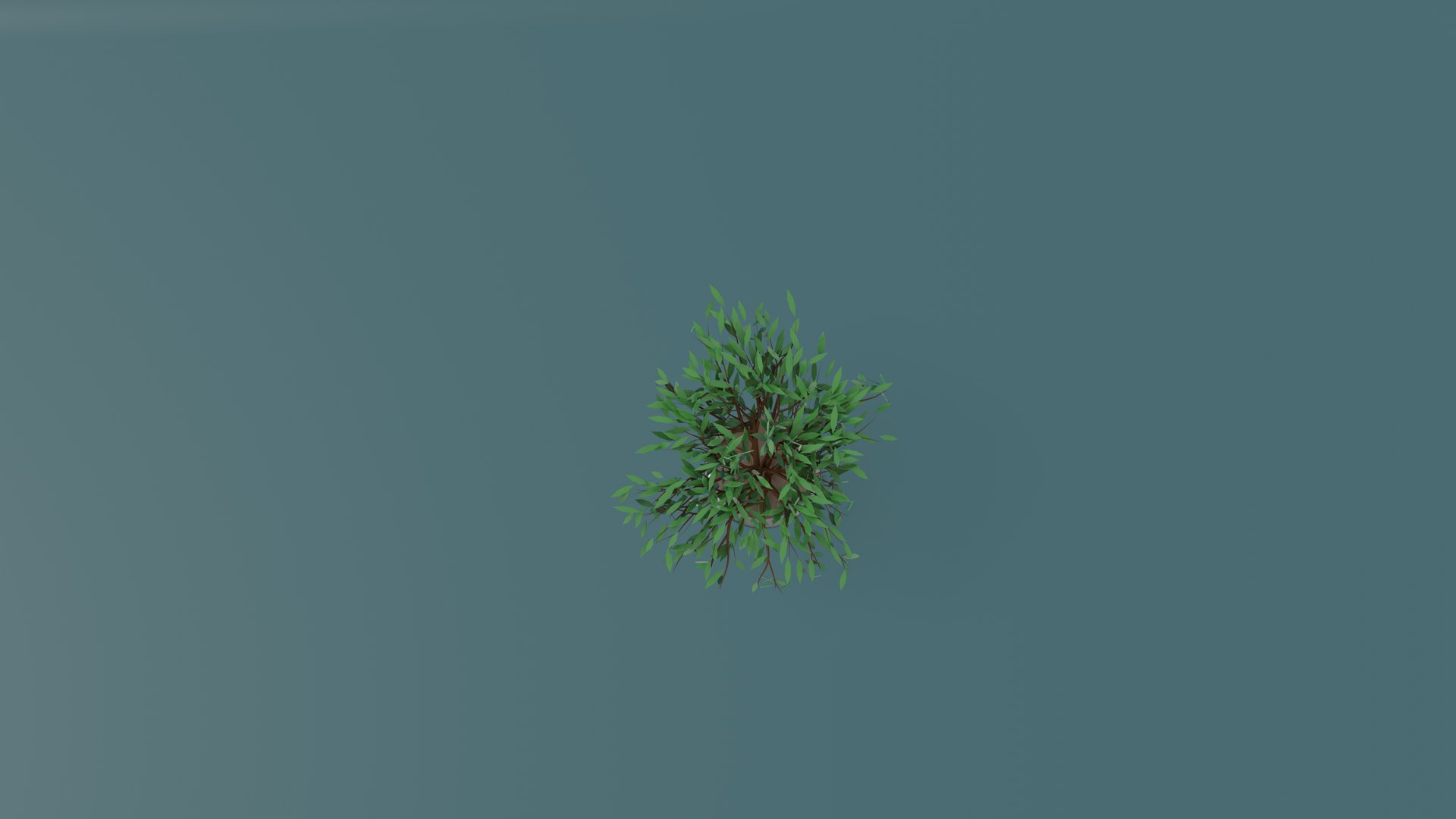 Small plant 3D model - TurboSquid 1440191