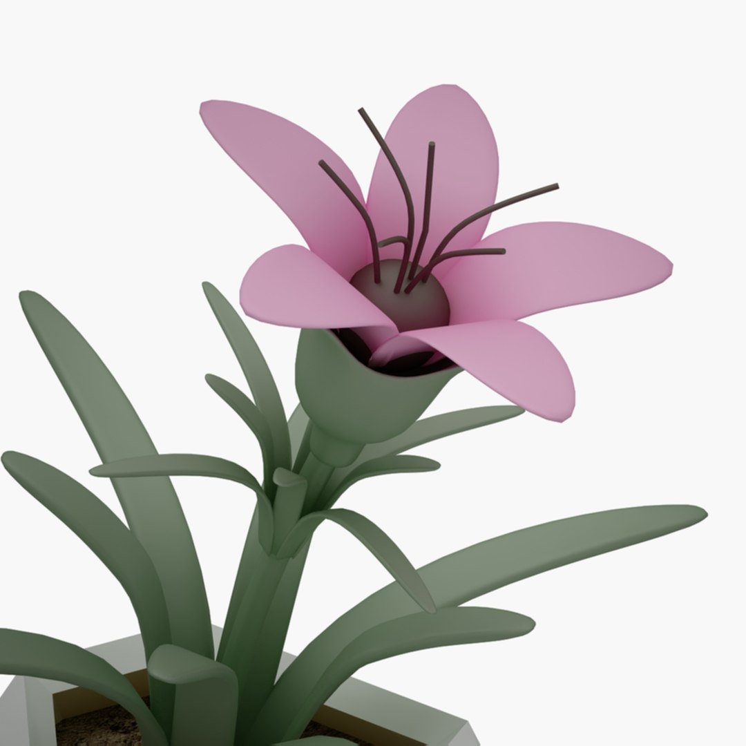 3D flower model - TurboSquid 1515799