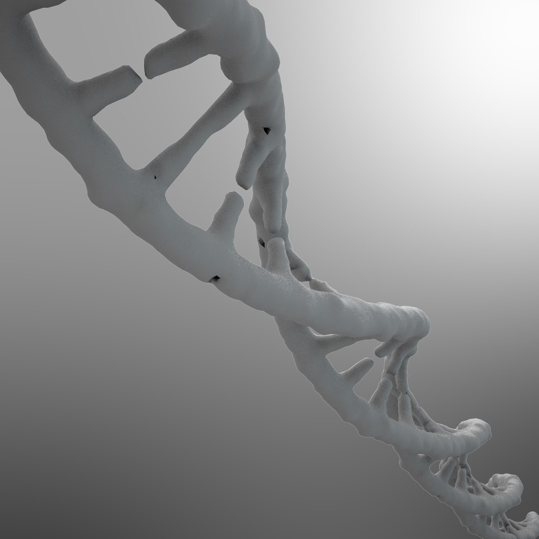 3ds Max Dna Strand S