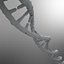 3ds Max Dna Strand S