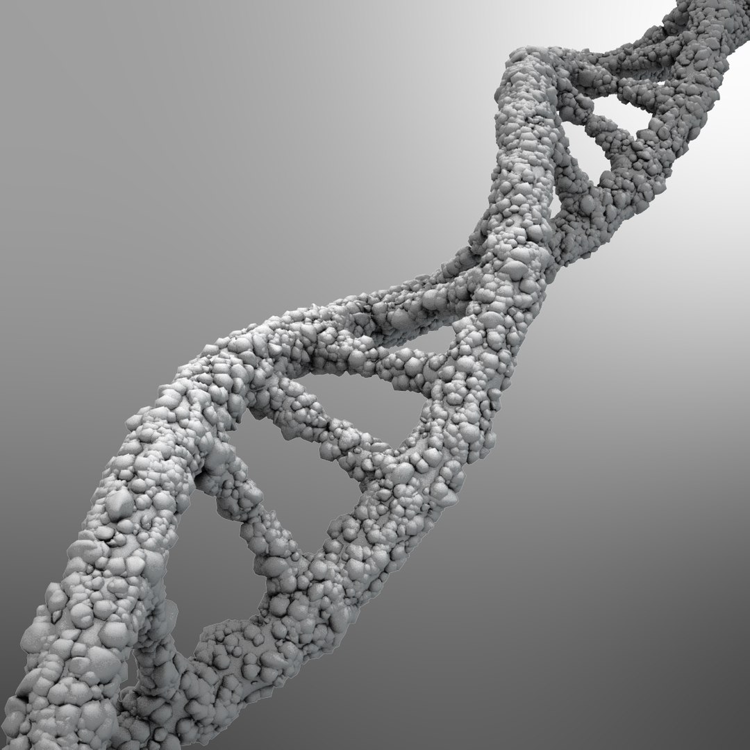 3ds Max Dna Strand S