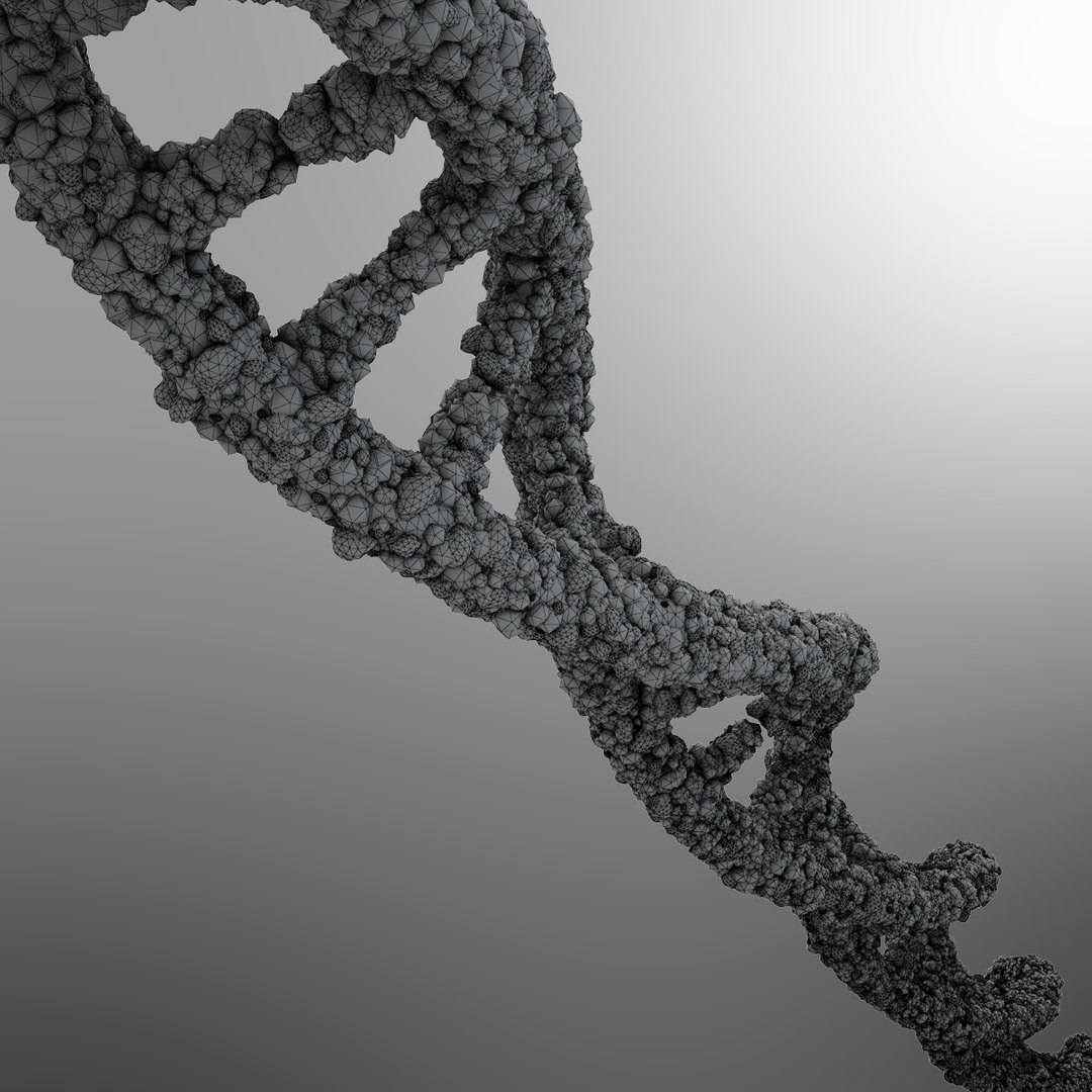 3ds Max Dna Strand S