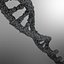 3ds Max Dna Strand S
