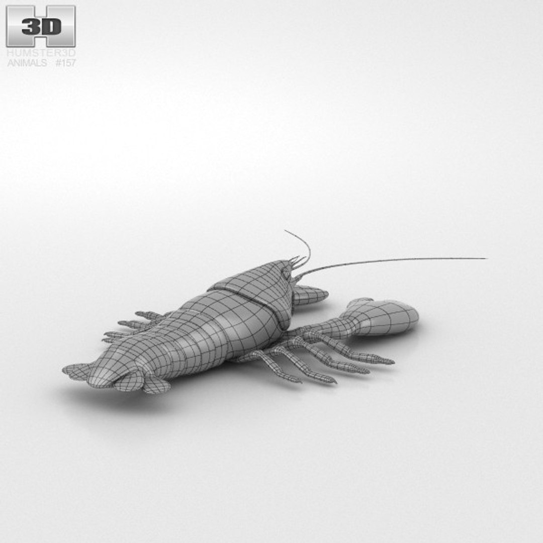 3d Lobster