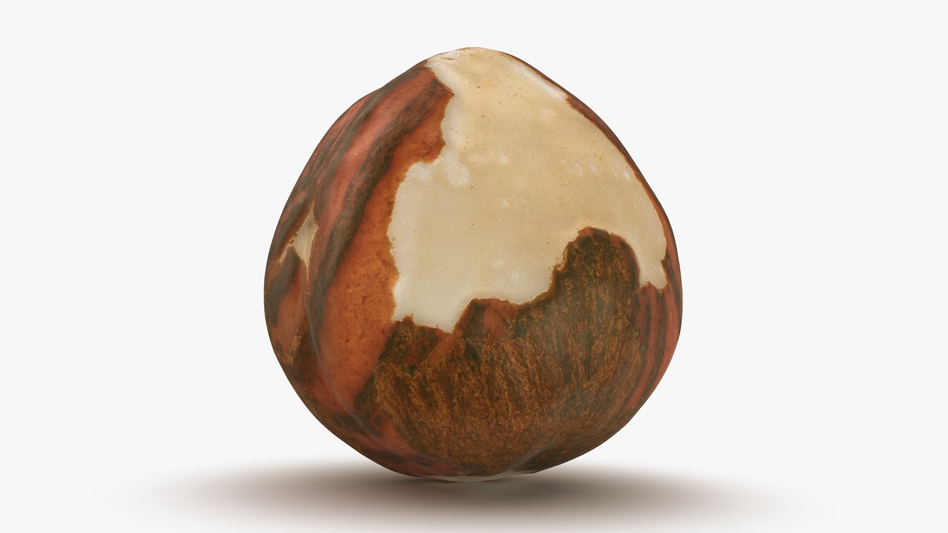 3D Hazelnut 05 Model - TurboSquid 1953369