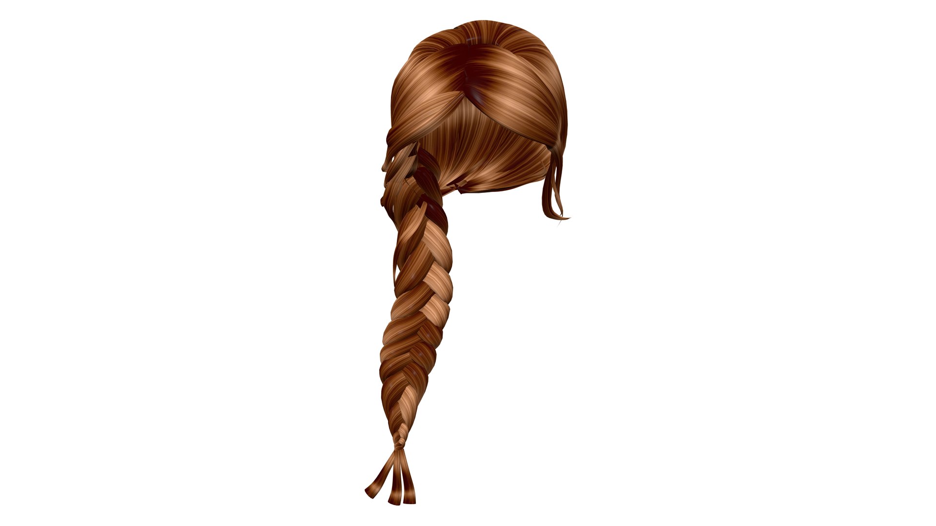Braided Sweetheart Hair 3D model - TurboSquid 2072168