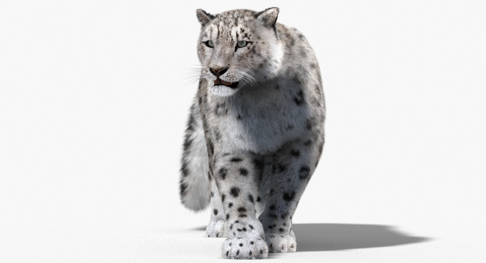 Snow Leopard Fur Cat 3d 3ds