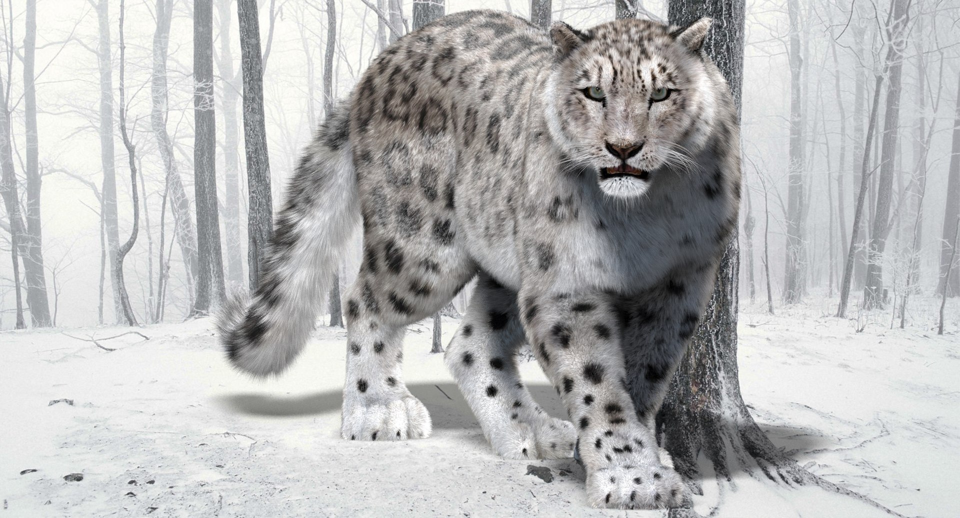 Snow Leopard Fur Cat 3d 3ds