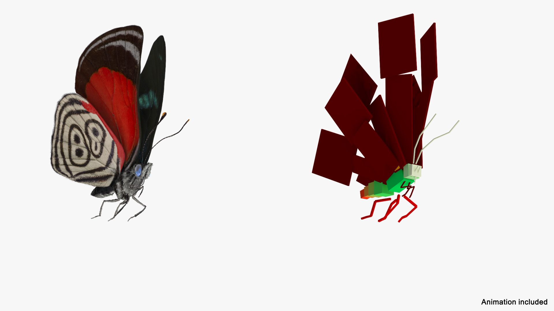 3D Animated Diaethria Clymena Butterfly Flight Fur - TurboSquid 1774636