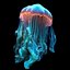 3D Model Jellyfish Pack 4 - TurboSquid 2165313