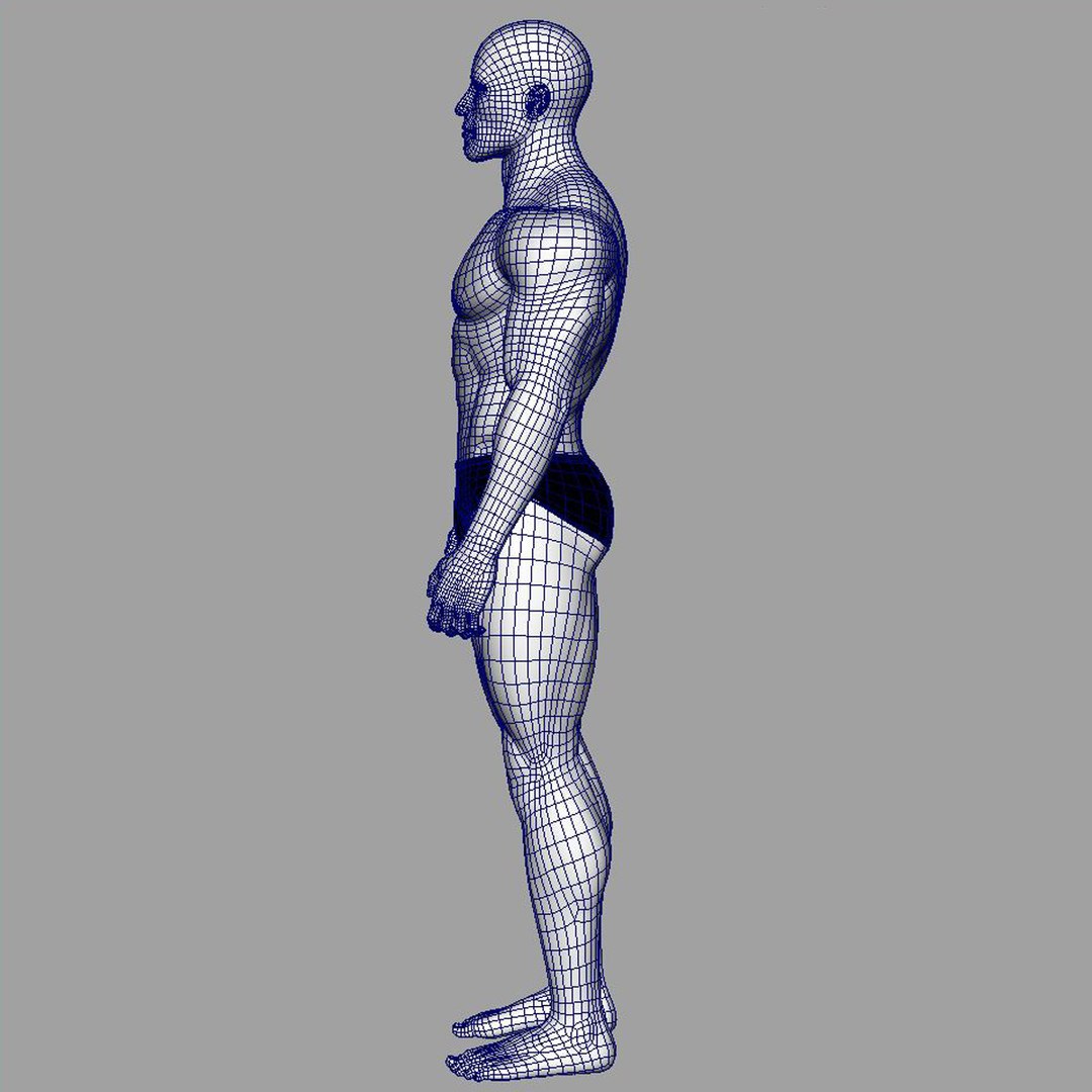 3d Model Male Body