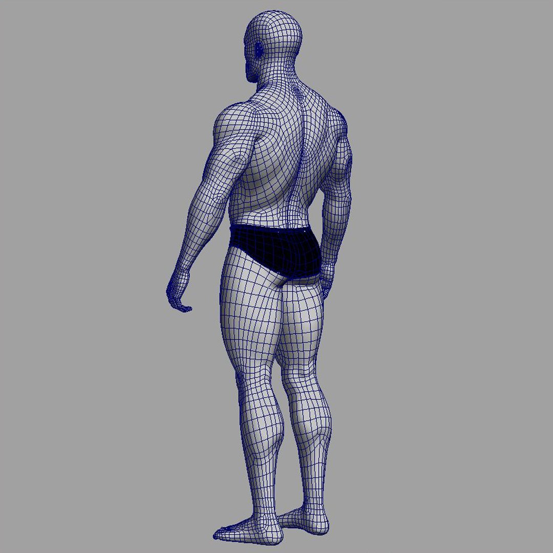 3d Model Male Body