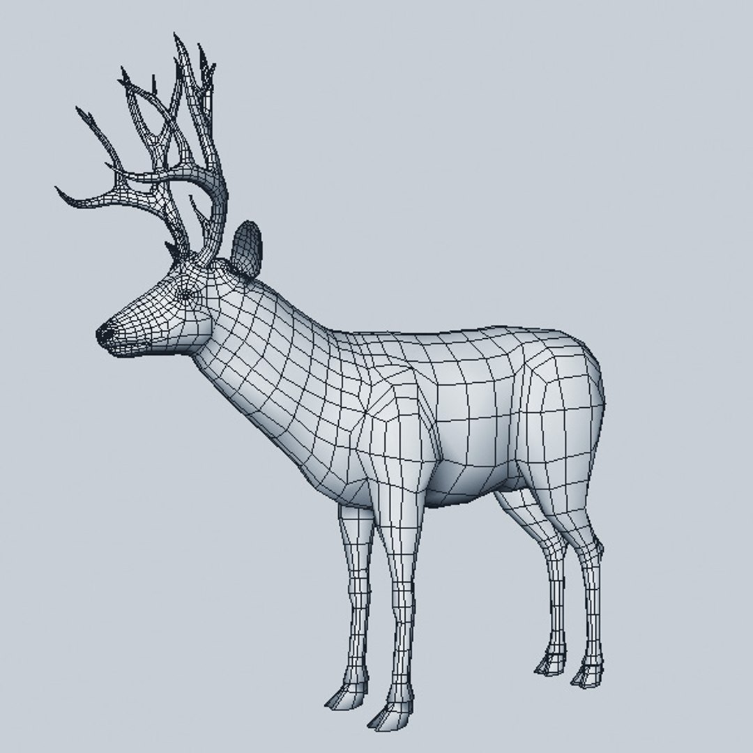 Elk 3d Model