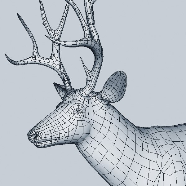 elk 3d model