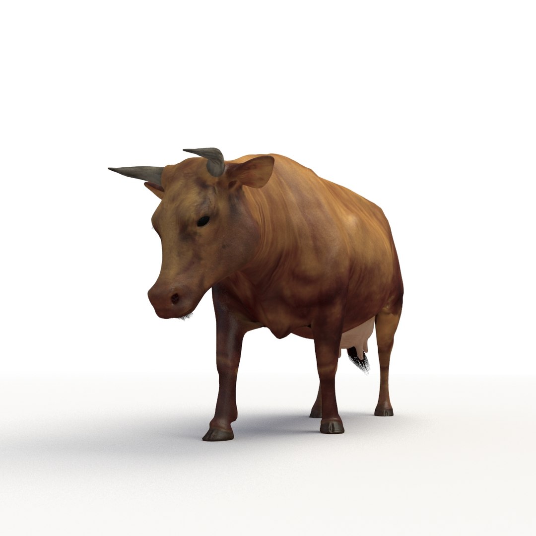 3D Brown Cow Model - TurboSquid 1176039