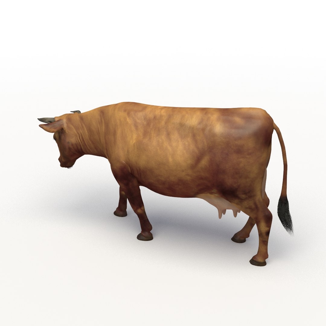 3D Brown Cow Model - TurboSquid 1176039