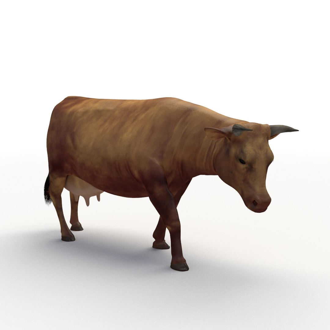 3D Brown Cow Model - TurboSquid 1176039