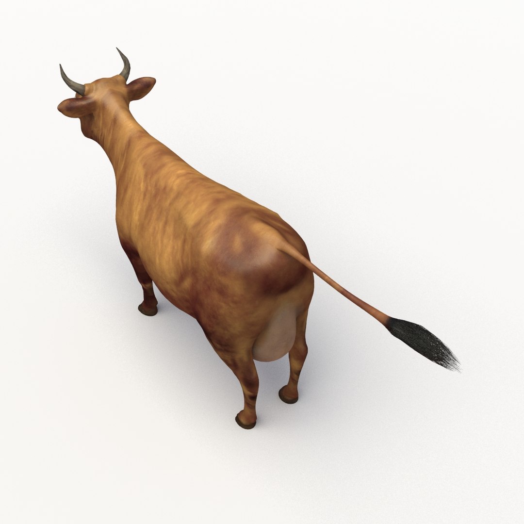 3D Brown Cow Model - TurboSquid 1176039