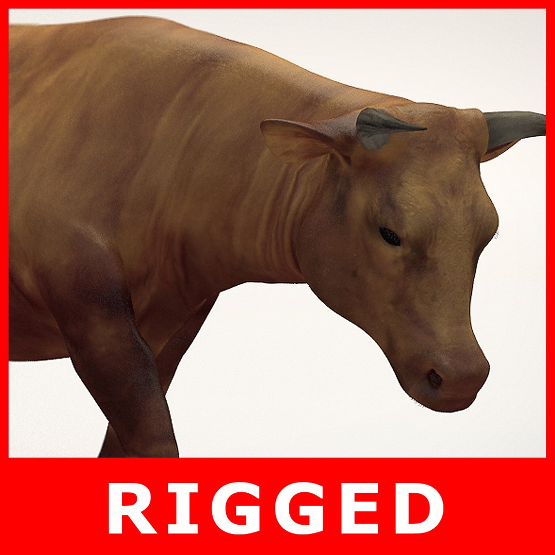 3D Brown Cow Model - TurboSquid 1176039