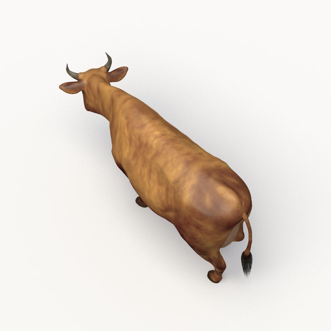 3D Brown Cow Model - TurboSquid 1176039