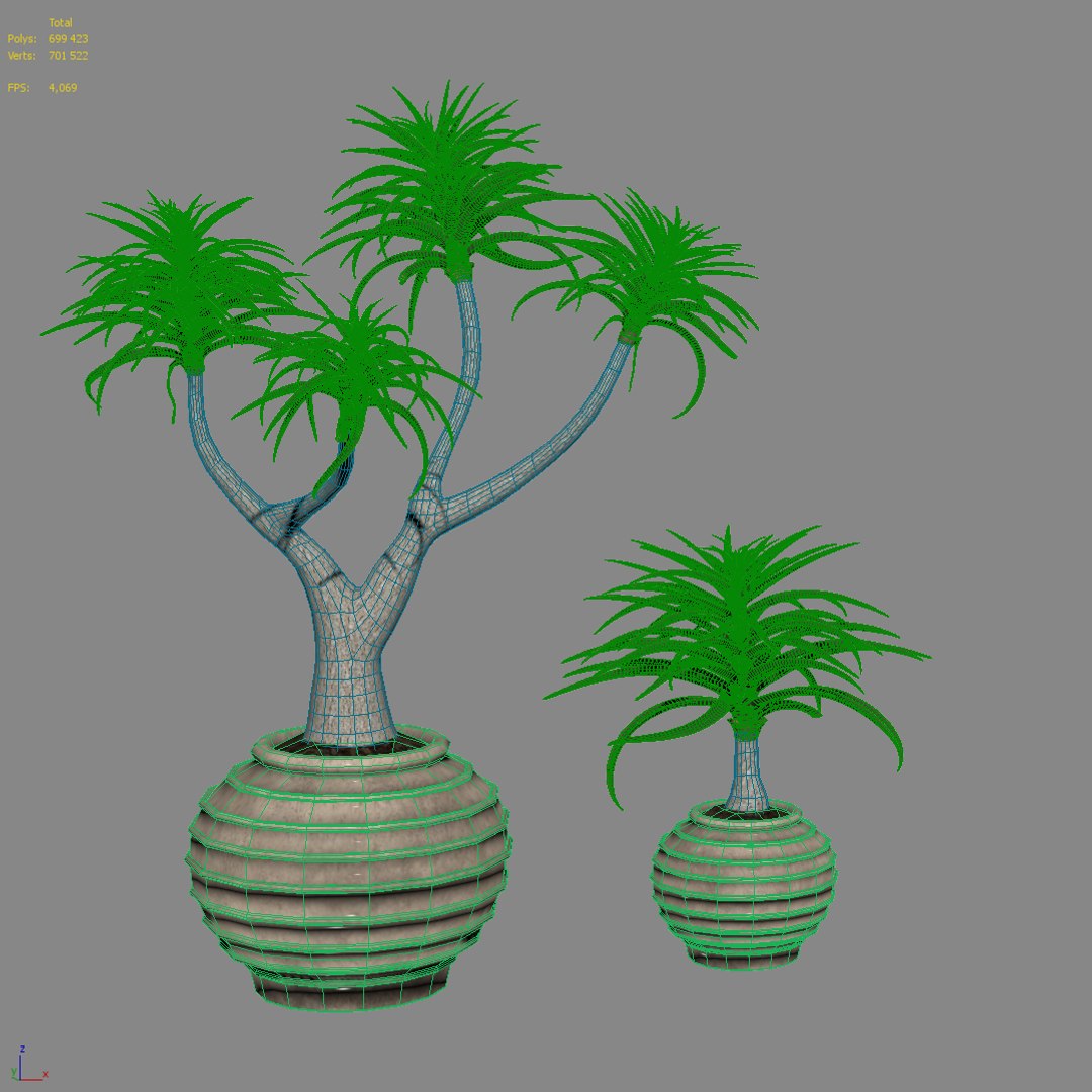 3D Model Aloe Barber Tree - TurboSquid 1541792