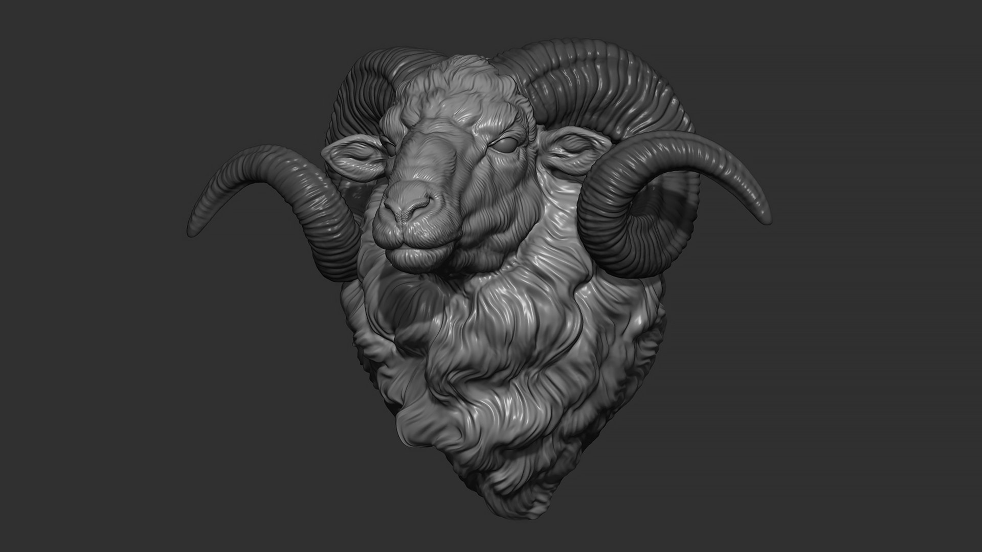 3D Ram Sheep Head Model - TurboSquid 1949054