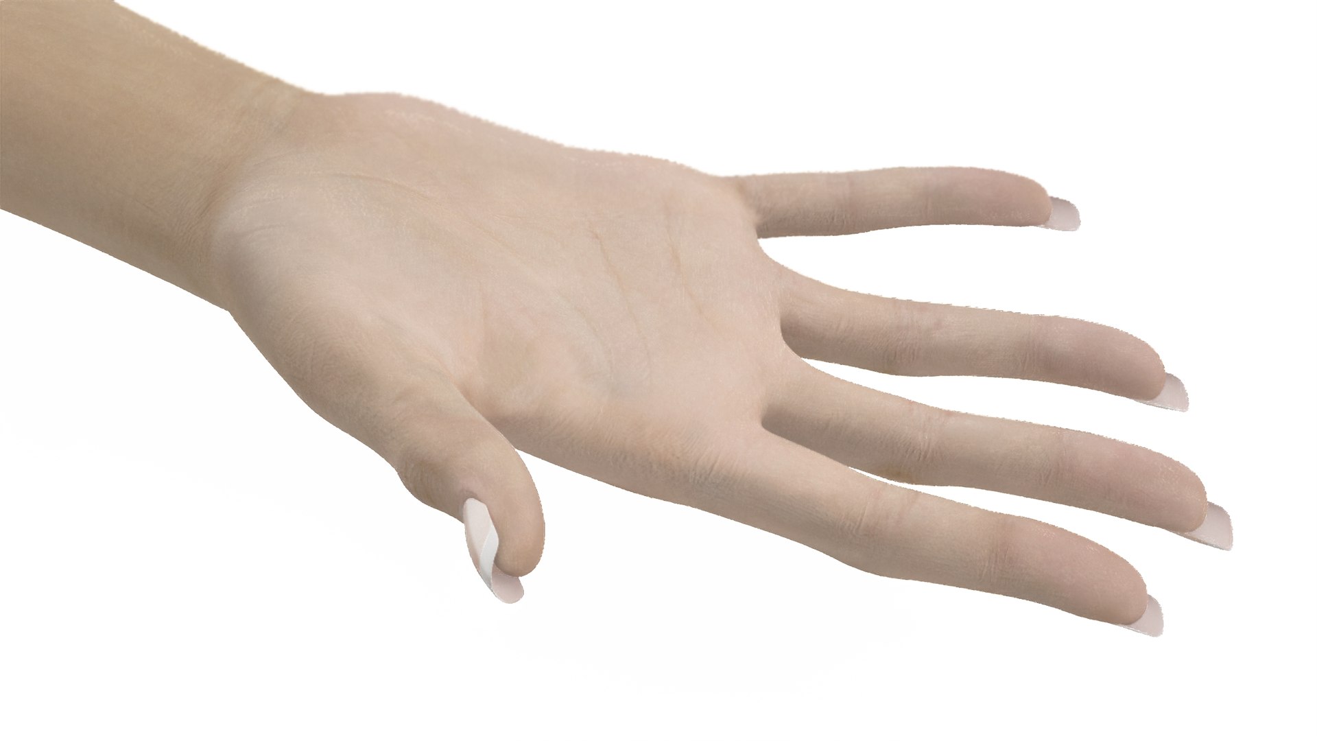 3D White Female Hand Rigged - TurboSquid 2170154