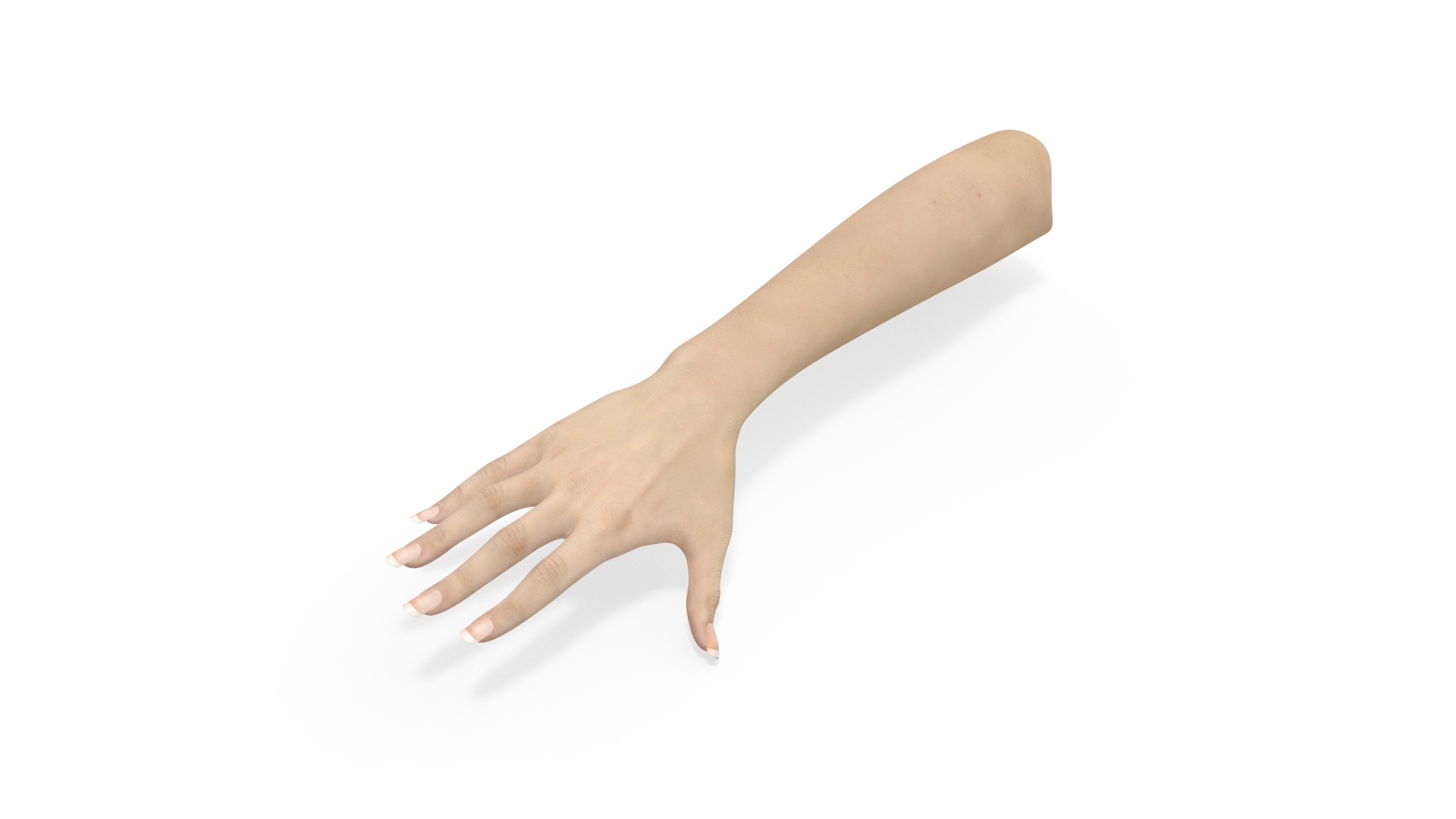 3D White Female Hand Rigged - TurboSquid 2170154