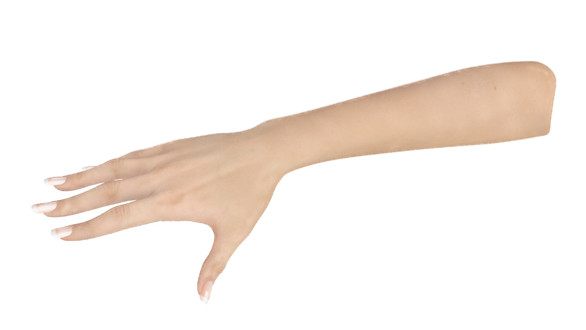 3D White Female Hand Rigged - TurboSquid 2170154