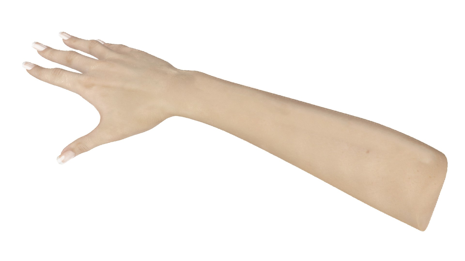 3D White Female Hand Rigged - TurboSquid 2170154