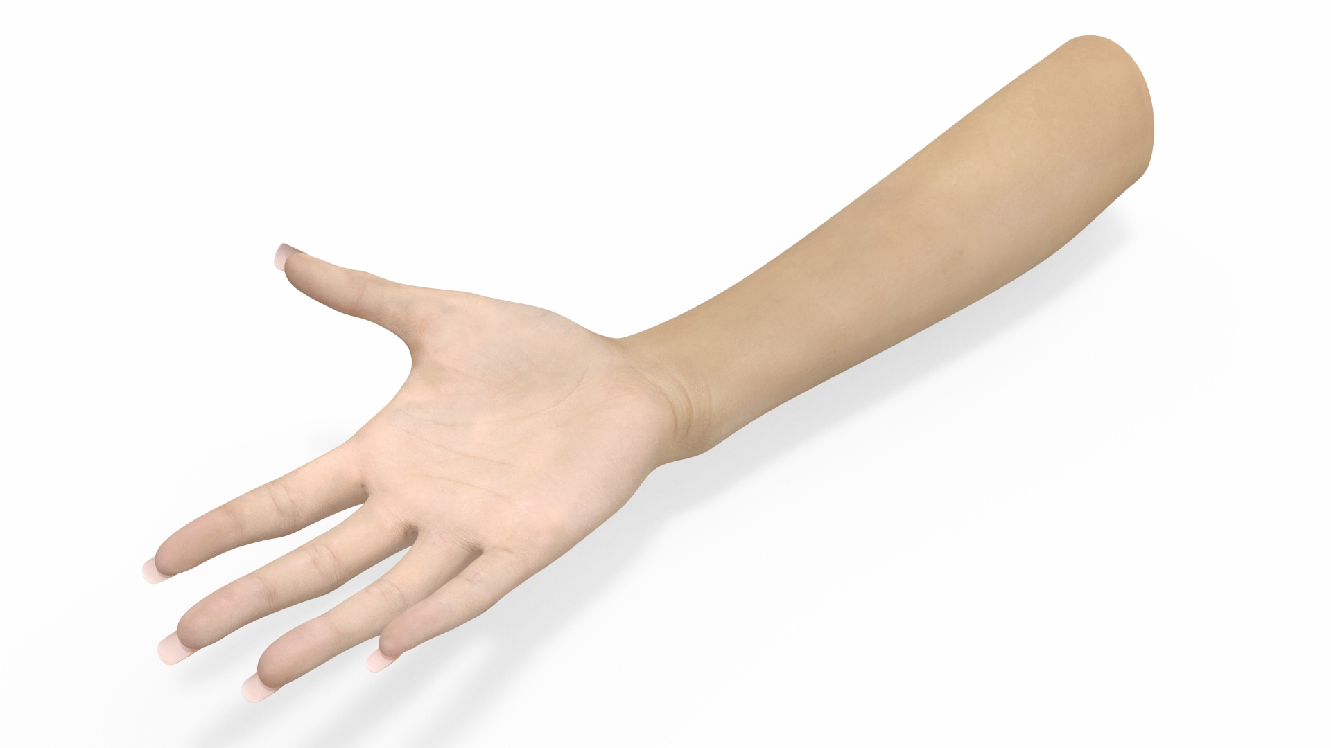 3D White Female Hand Rigged - TurboSquid 2170154