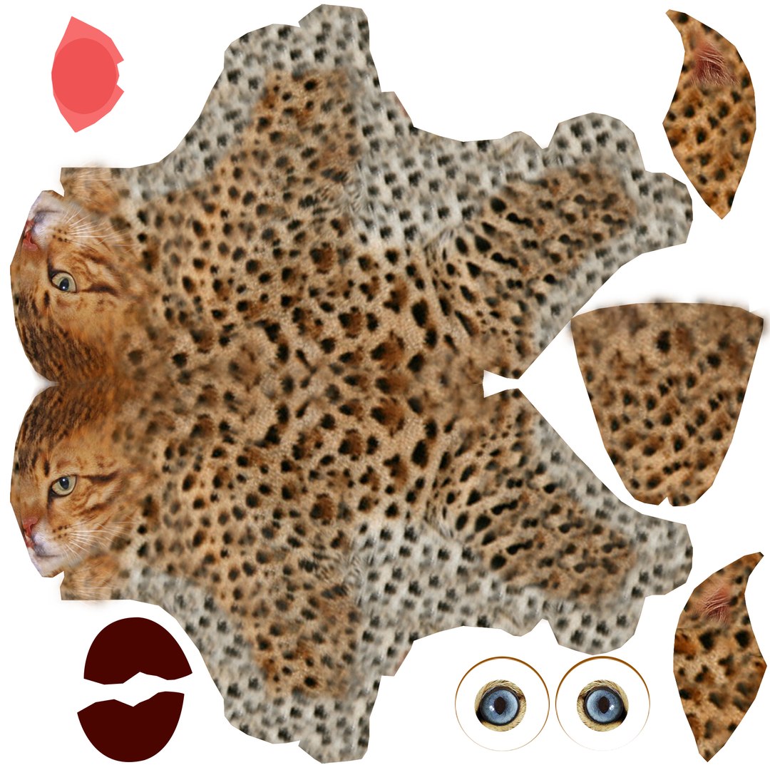 3D Cute Cat Model - TurboSquid 1220875