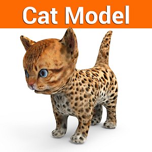 Cat 3D Models for Download | TurboSquid