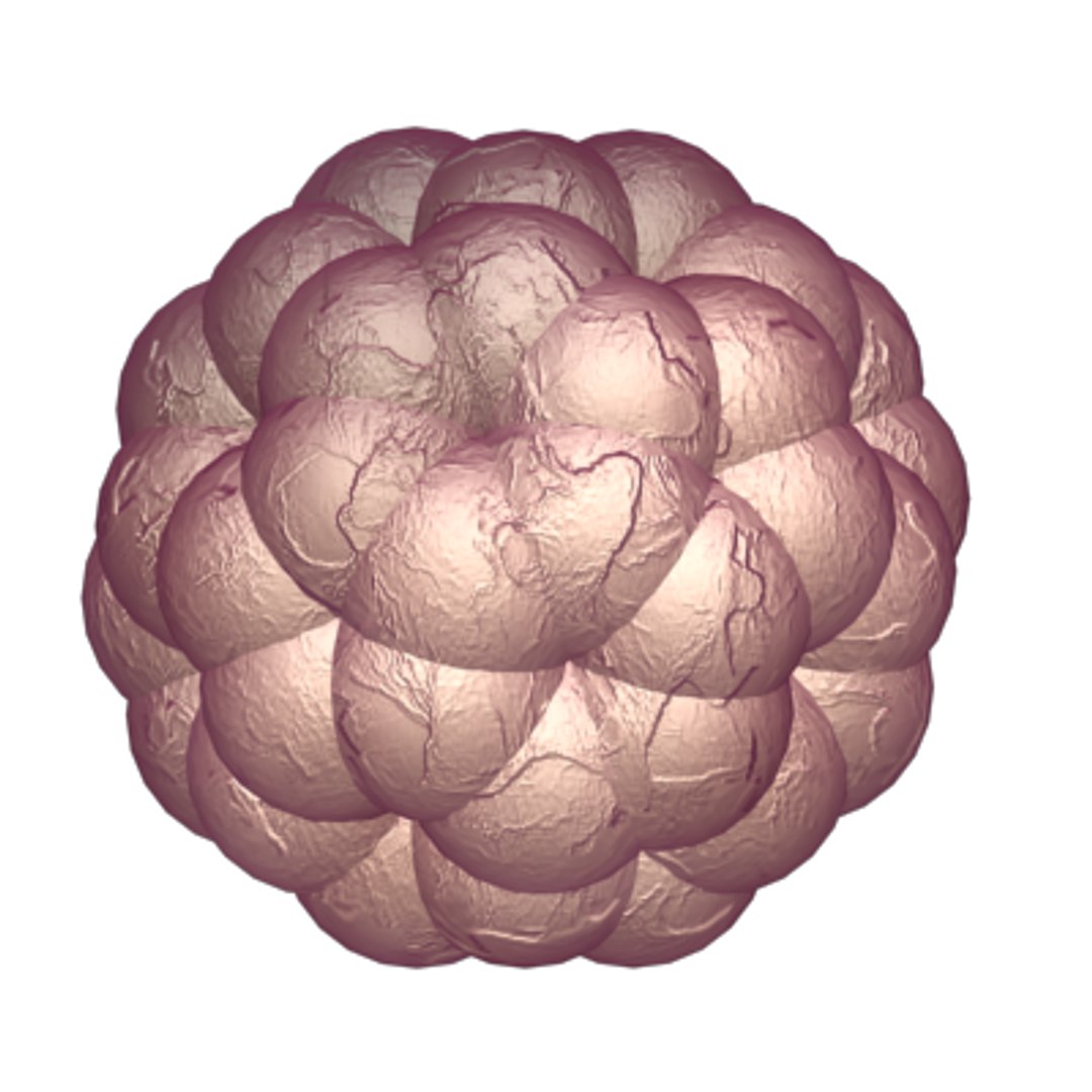 3d Carbon Soccer Ball Molecule Model