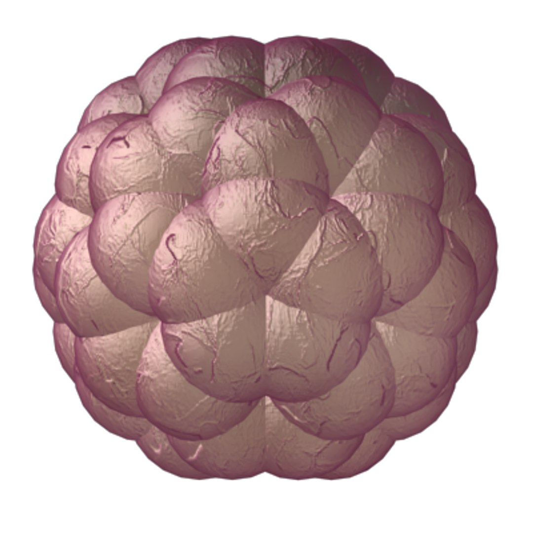 3d Carbon Soccer Ball Molecule Model