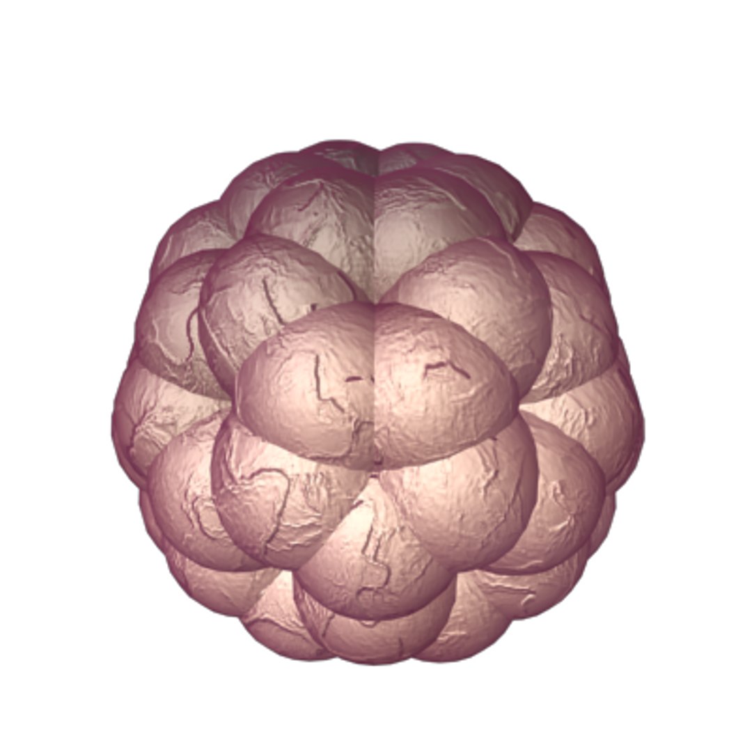 3d Carbon Soccer Ball Molecule Model