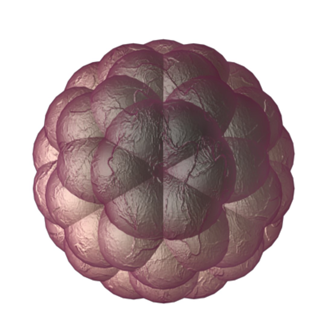 3d Carbon Soccer Ball Molecule Model