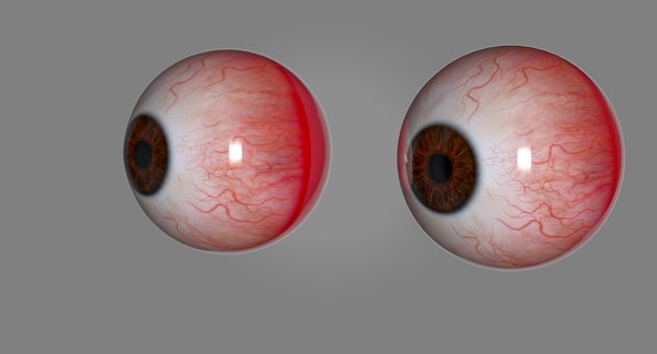 Marcus pbr real human head 3D model - TurboSquid 1629110