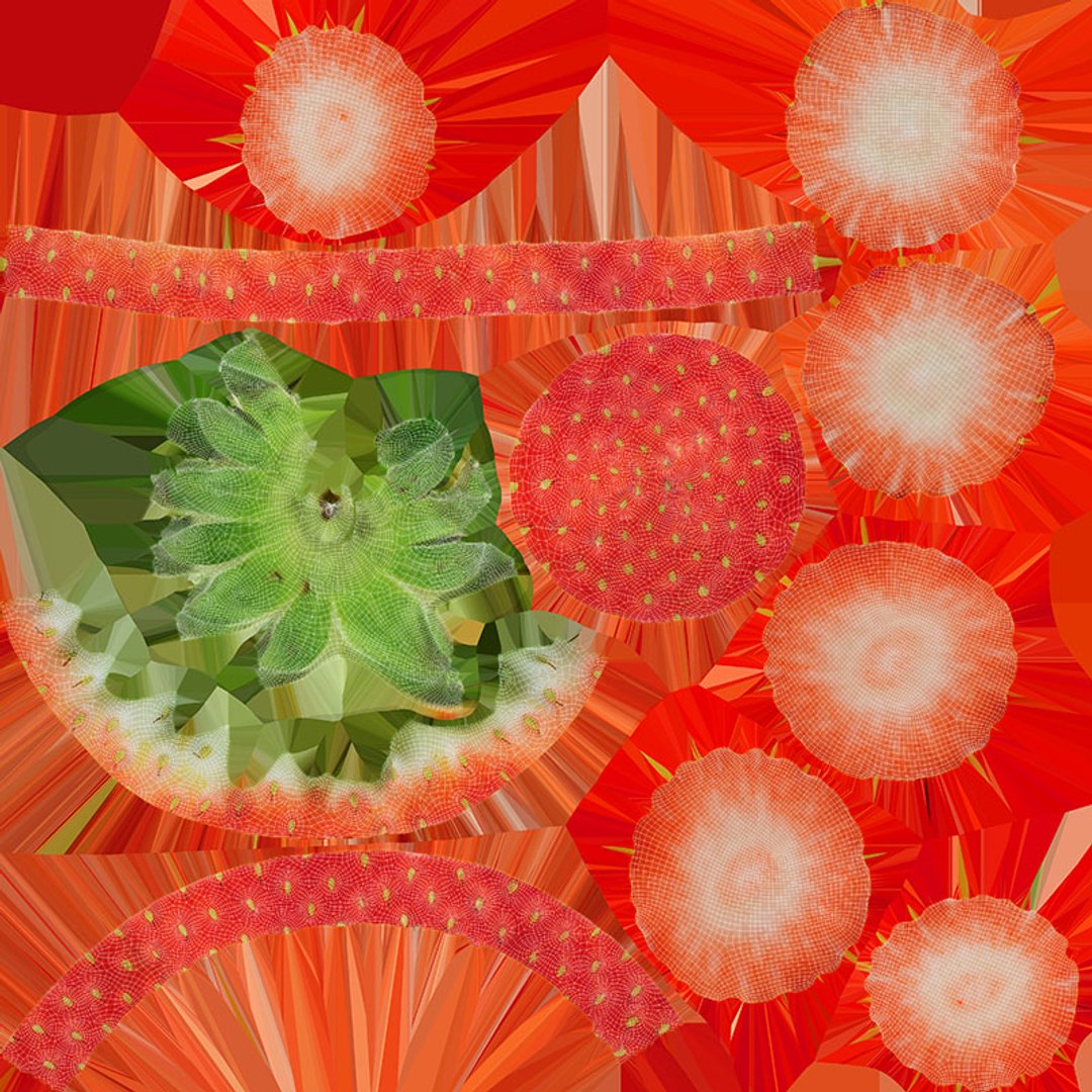 3D Model Strawberry Collection - TurboSquid 2239088
