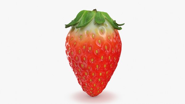 modelo 3d Colección de fresas - TurboSquid 2239088