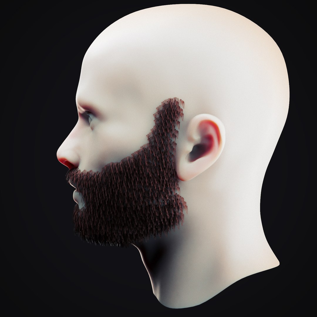 3D Beard 12 Model - TurboSquid 1489697
