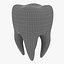 tooth 3d max