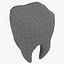tooth 3d max