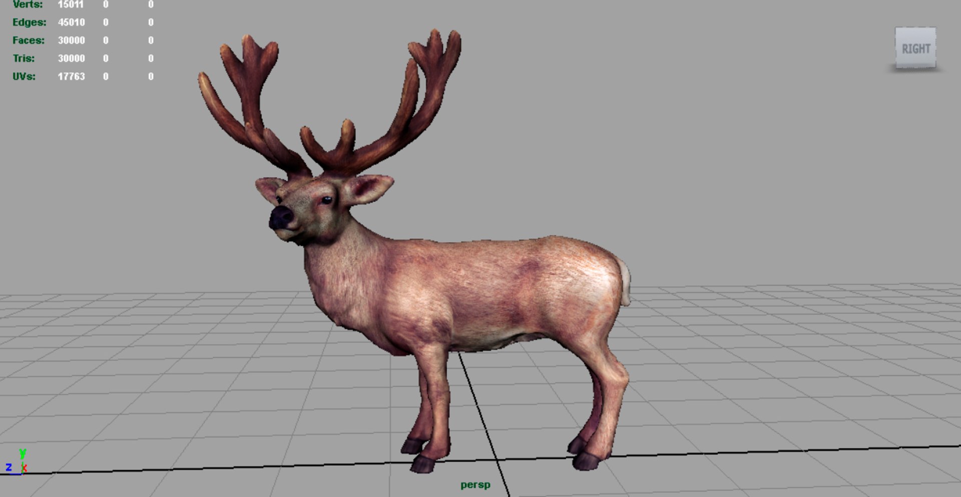 Red Deer 3D Model - TurboSquid 1204152