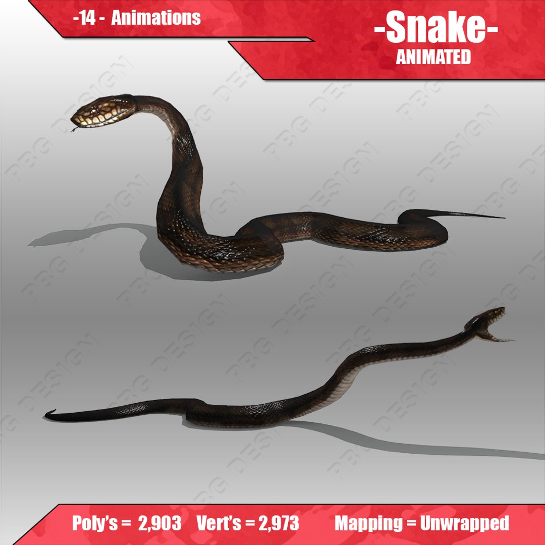 Snake Animations 3d Model
