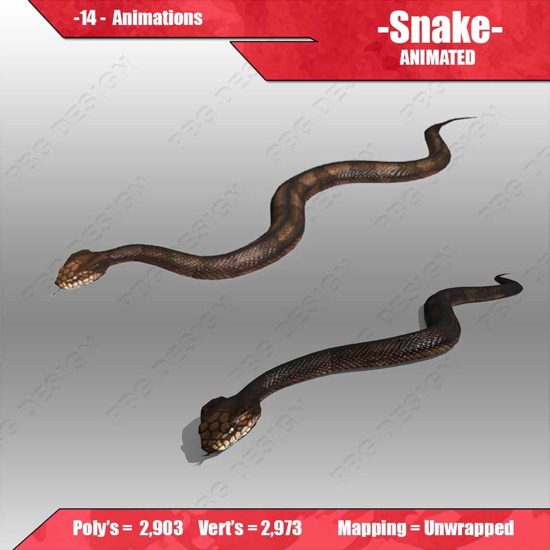 Snake Animations 3d Model