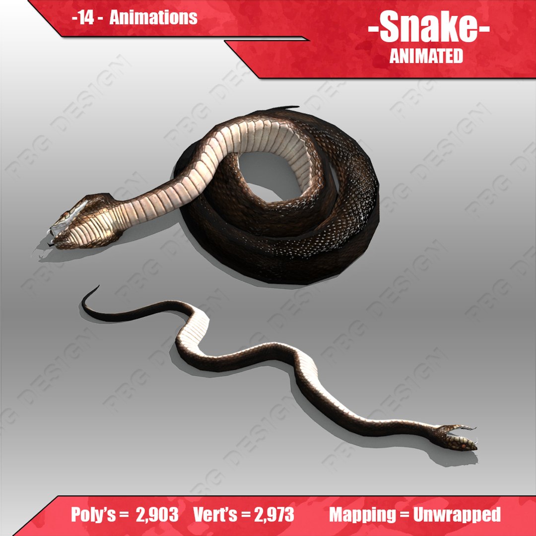 Snake Animations 3d Model