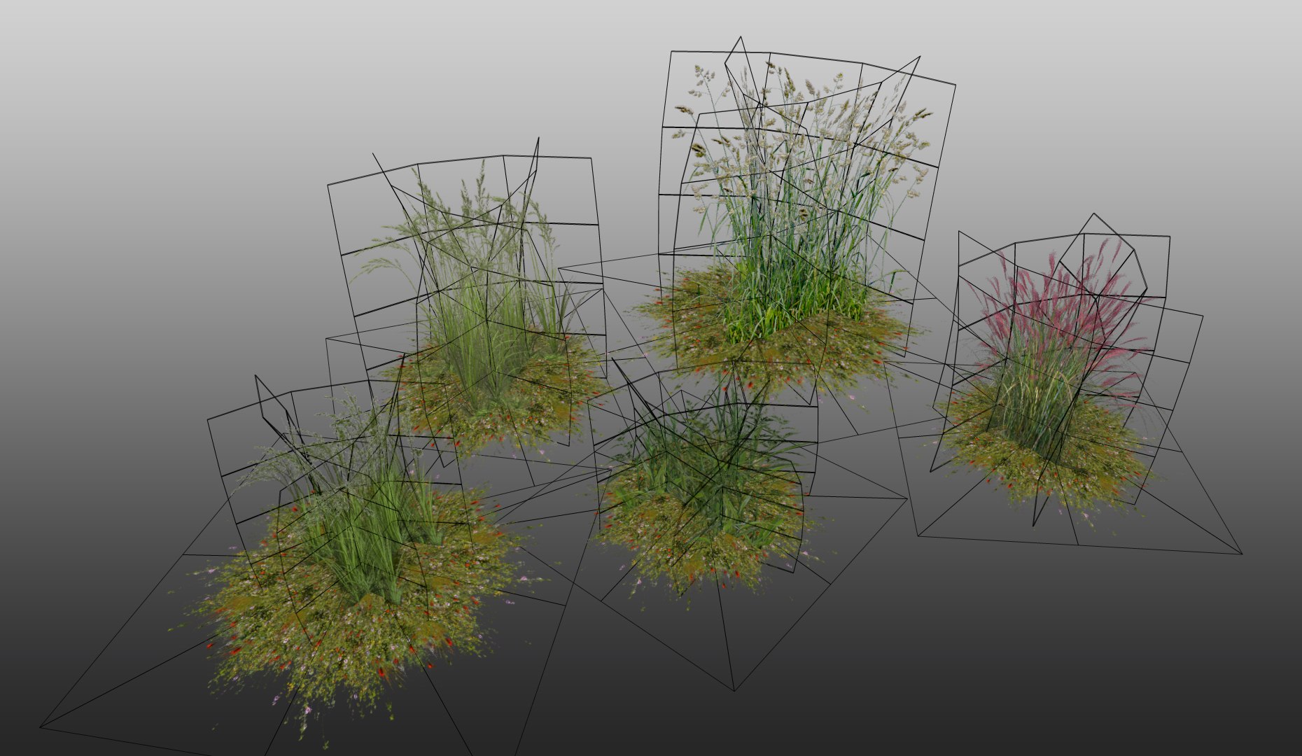 3D Nature Grass Flora - TurboSquid 1480508